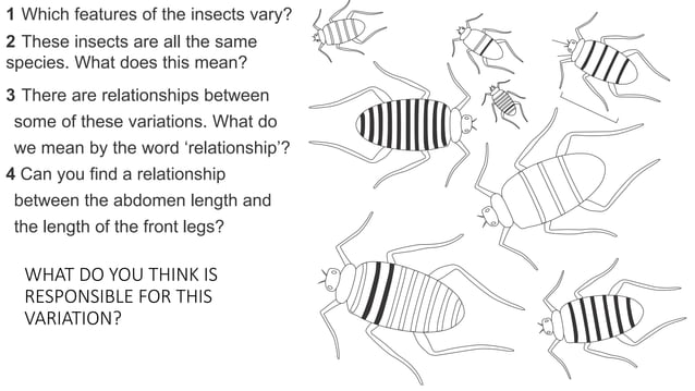 7D-CLASSIFICATION.pptx classification pt | PPT