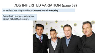 7D-CLASSIFICATION.pptx classification pt | PPT