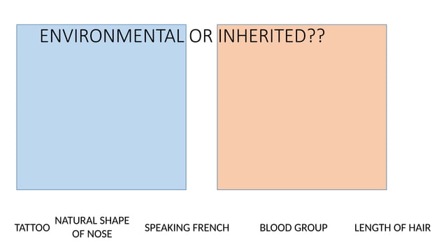 7D-CLASSIFICATION.pptx classification pt | PPT