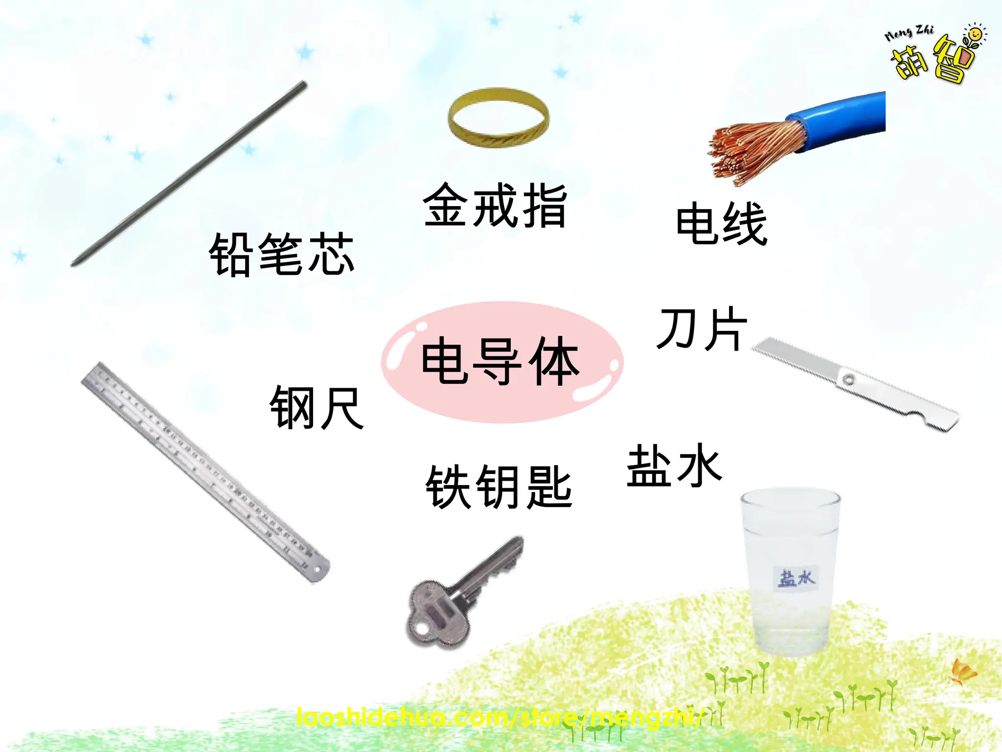 conductor science year 2 in chinese 电导体.pptx