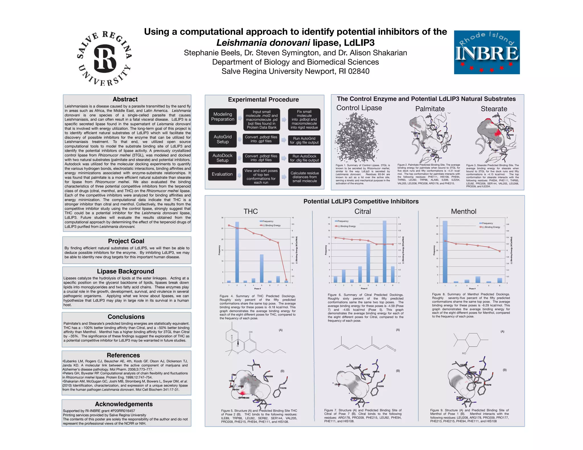 Beels_Surf_Poster3 | PDF | Chemistry | Science