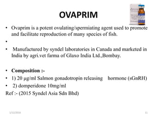 sachin KIRAN MAM | PPTX