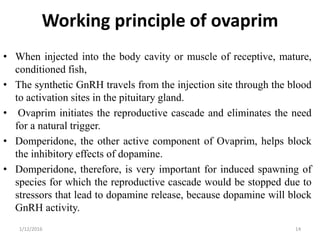 sachin KIRAN MAM | PPTX