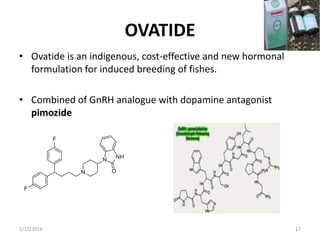 sachin KIRAN MAM | PPTX
