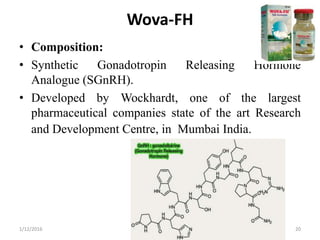 sachin KIRAN MAM | PPTX