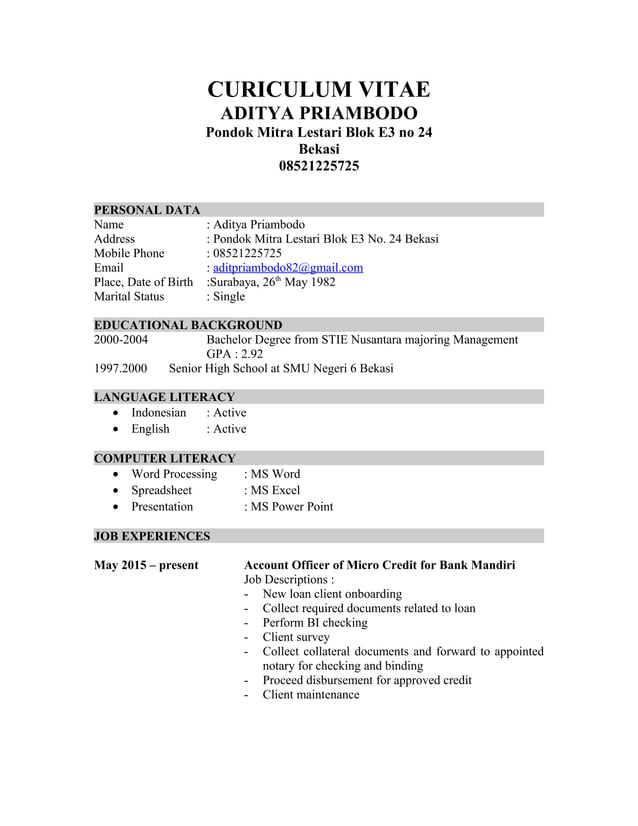 CURICULUM VITAE Aditya | PDF