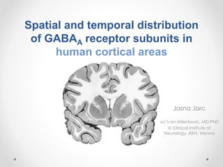 Spatial and temporal distribution of gabaa in cortical parts | PPT