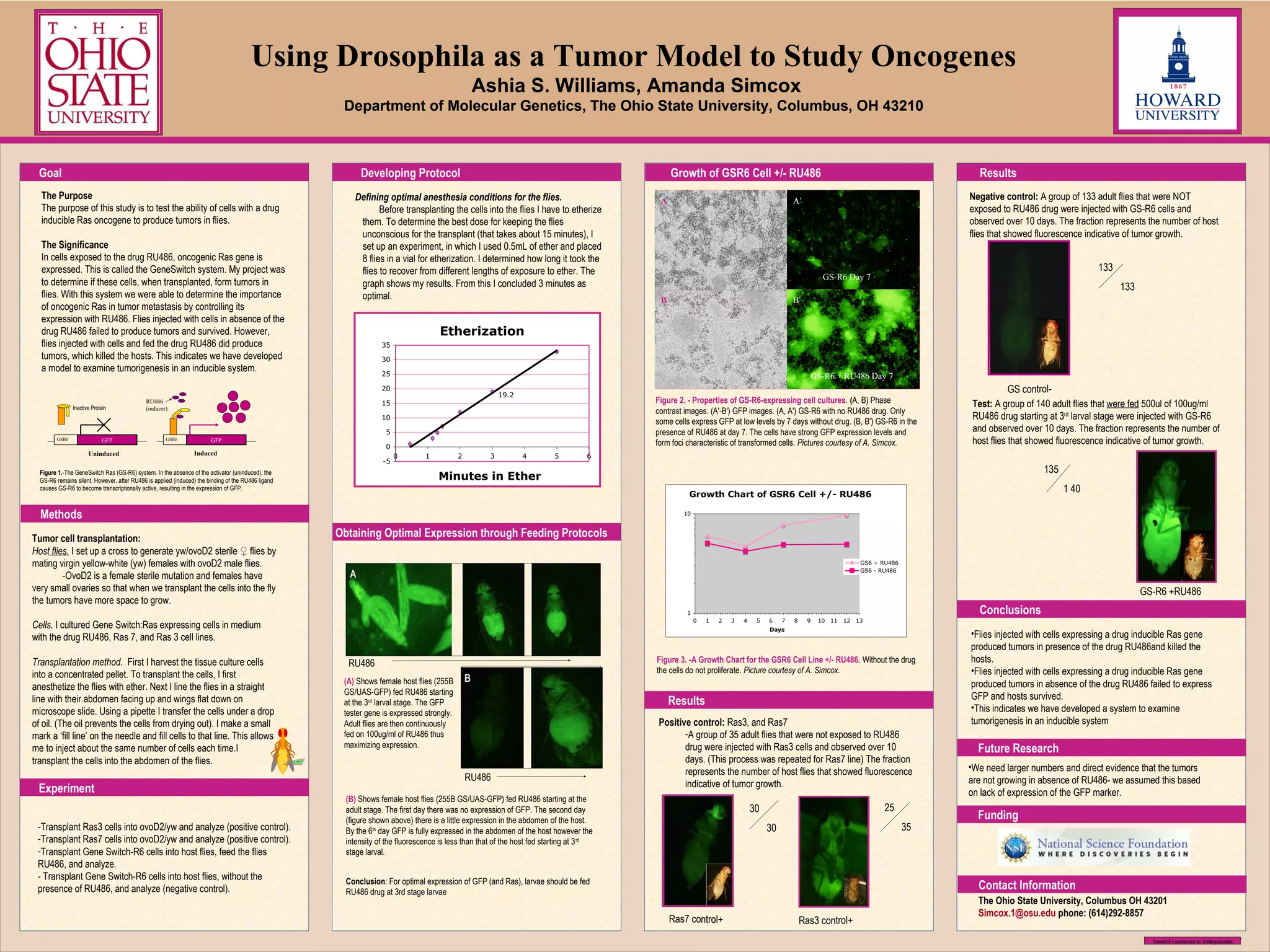 Ashia Drosophilia Poster | PPT | Genetics | Science