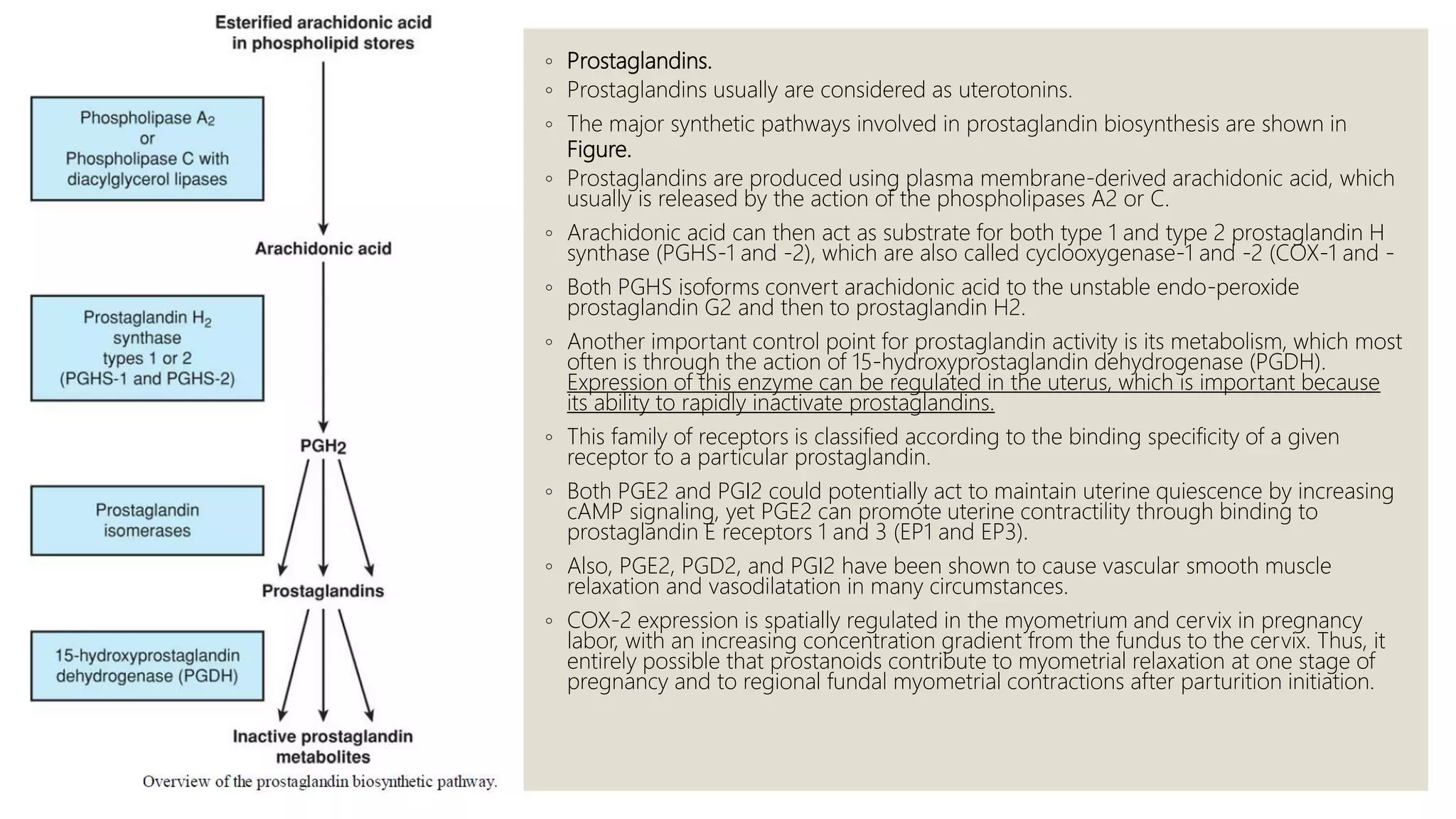 CAUSES AND ONSET OF NORMAL LABOUR | PPTX