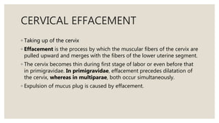 CAUSES AND ONSET OF NORMAL LABOUR | PPTX