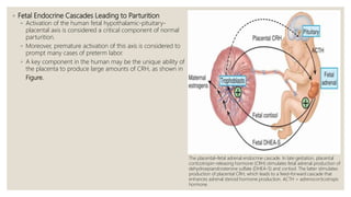 CAUSES AND ONSET OF NORMAL LABOUR | PPTX