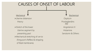 CAUSES AND ONSET OF NORMAL LABOUR | PPTX