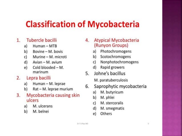 [Micro] atypical mycobacterium | PPT