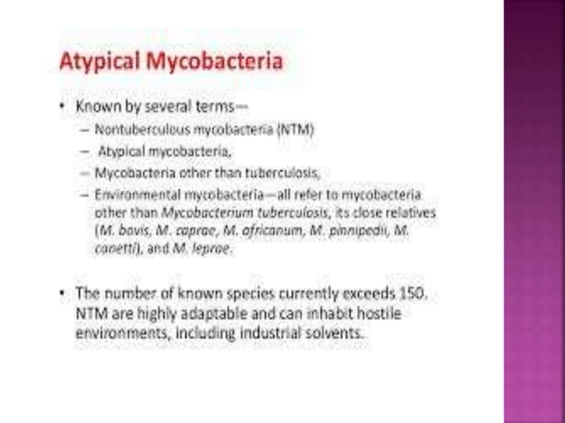[Micro] atypical mycobacterium | PPT