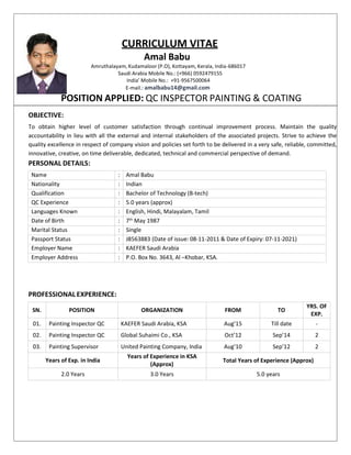 CV- AMAL | PDF | Resume Writing and Advice | Job Search