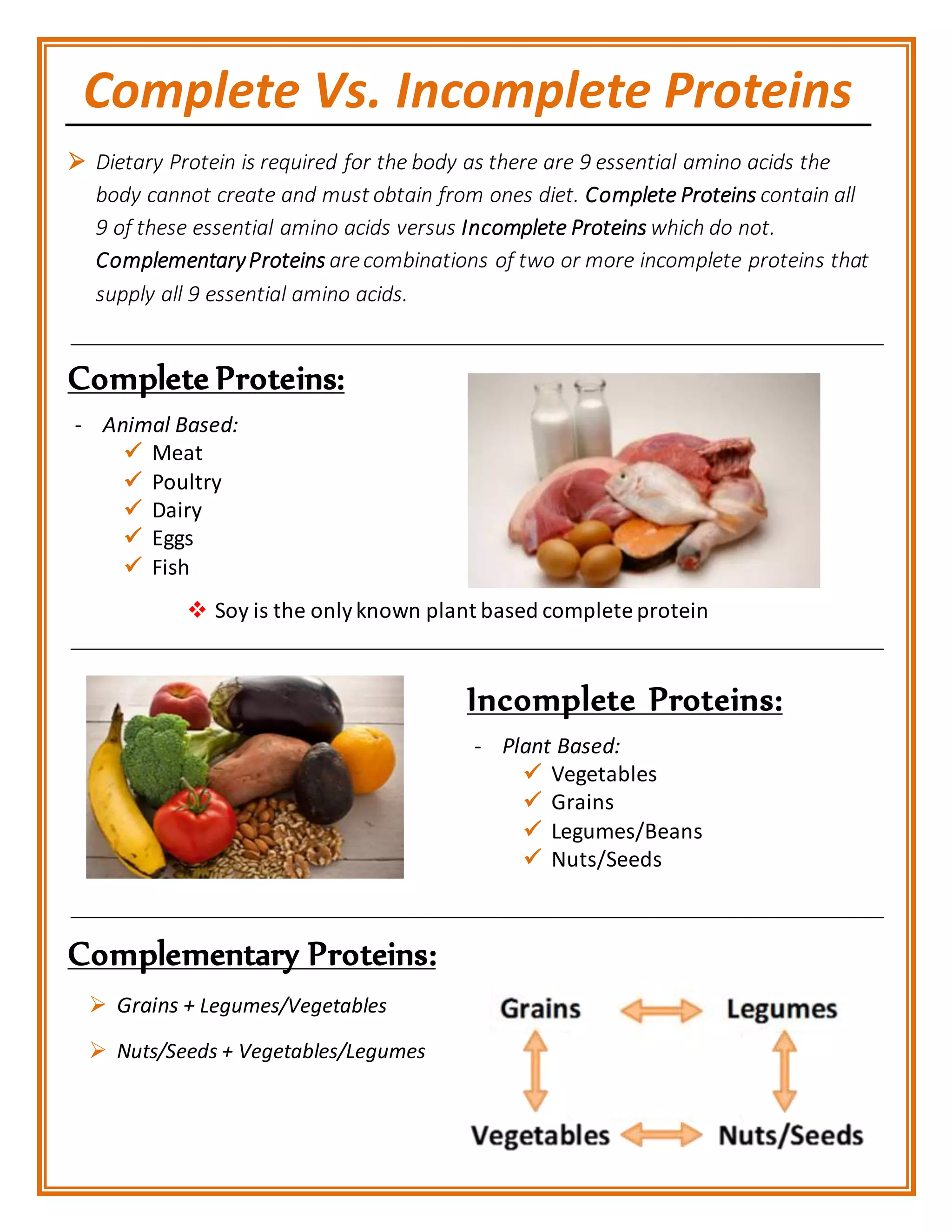 Complete vs Incomplete Proteins (1) | DOCX