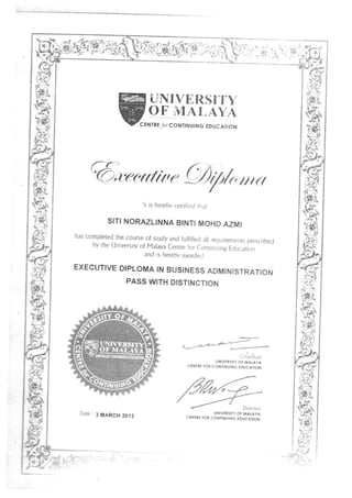 Diploma Transcript | PDF