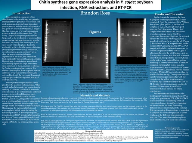 Ross poster final | PPT