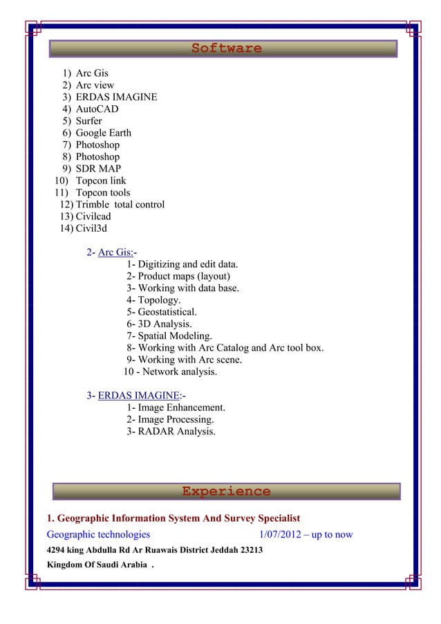 cv shaban english | PDF