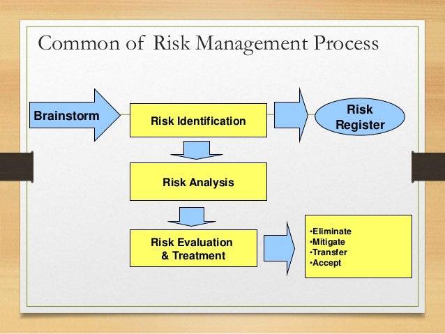 Project Risk Management_intro