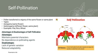 Pollination PPT types of pollination and different types of pollinator ...