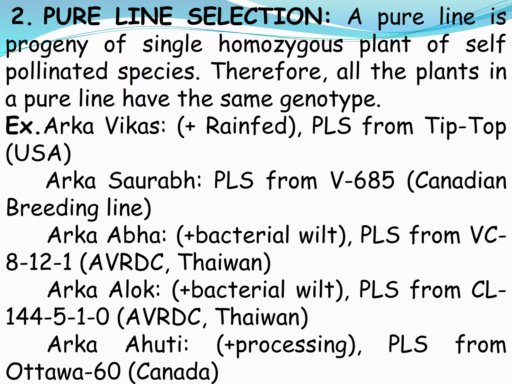 Tomato Breeding | PPTX