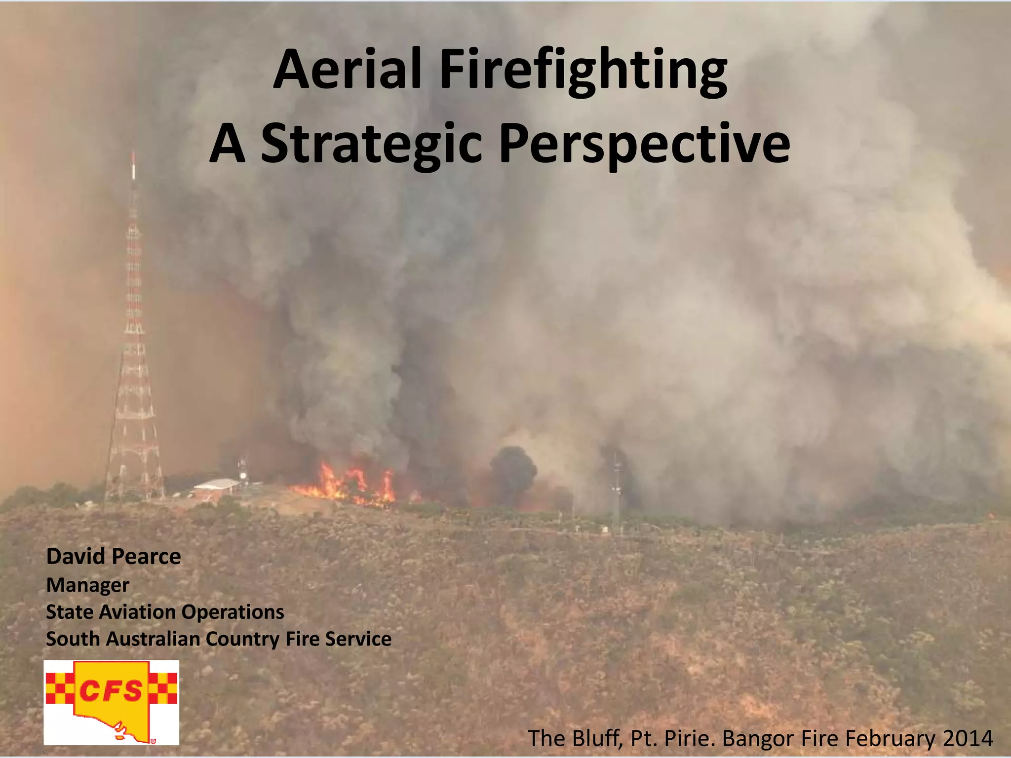 Aerial Firefighting A Strategic Perspective - David Pearce | PDF