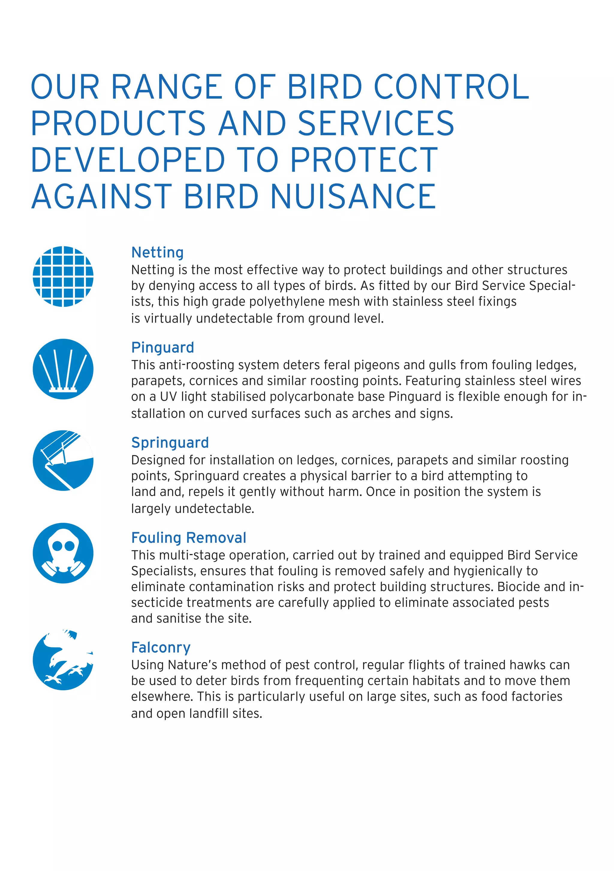 Bird Difference | PDF