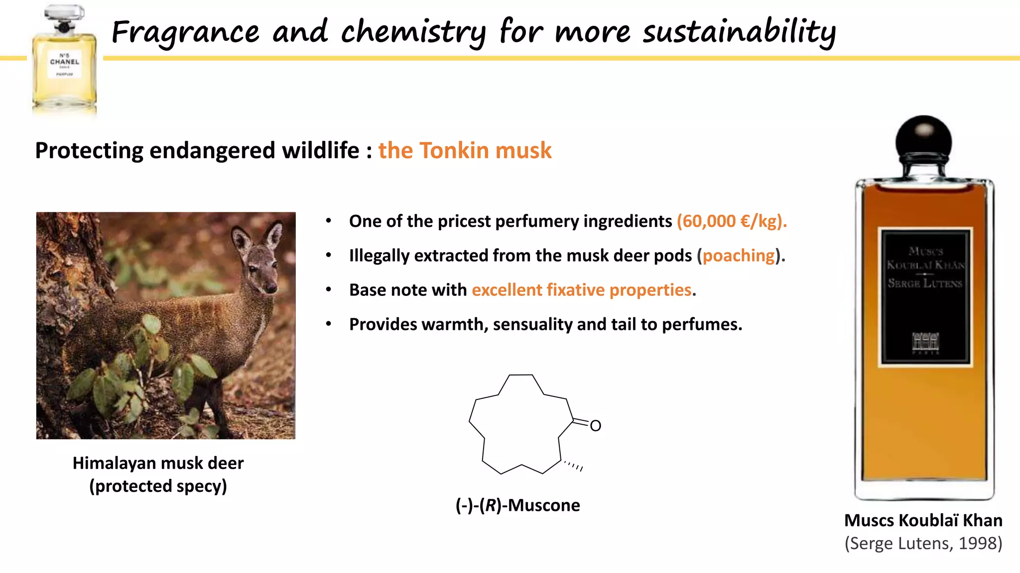 Fragrances Chemistry | PPTX