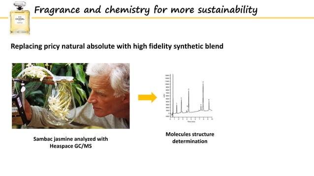 Fragrances Chemistry | PPTX | Perfume and Fragrance | Beauty