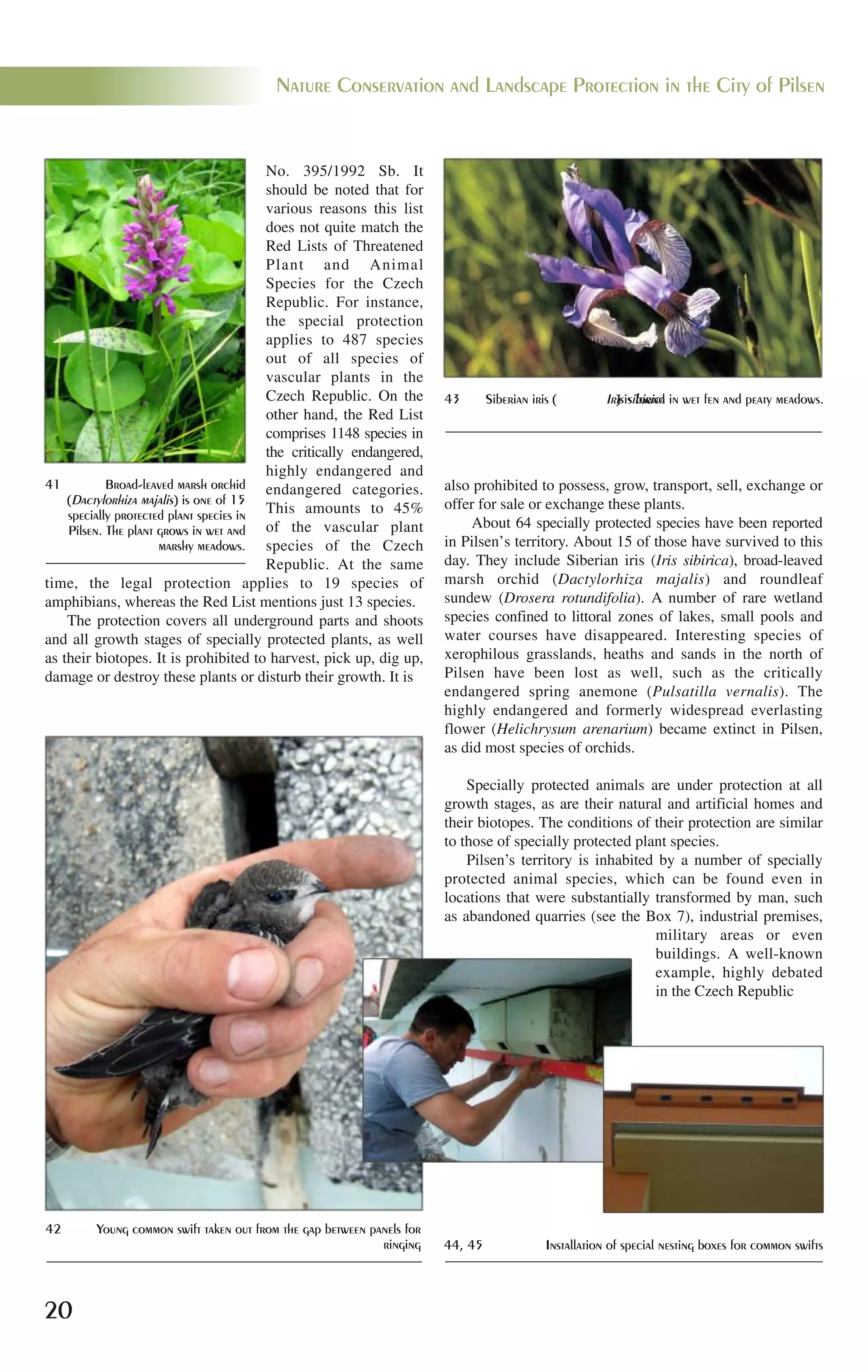 The Environment of the City of Pilsen | PDF