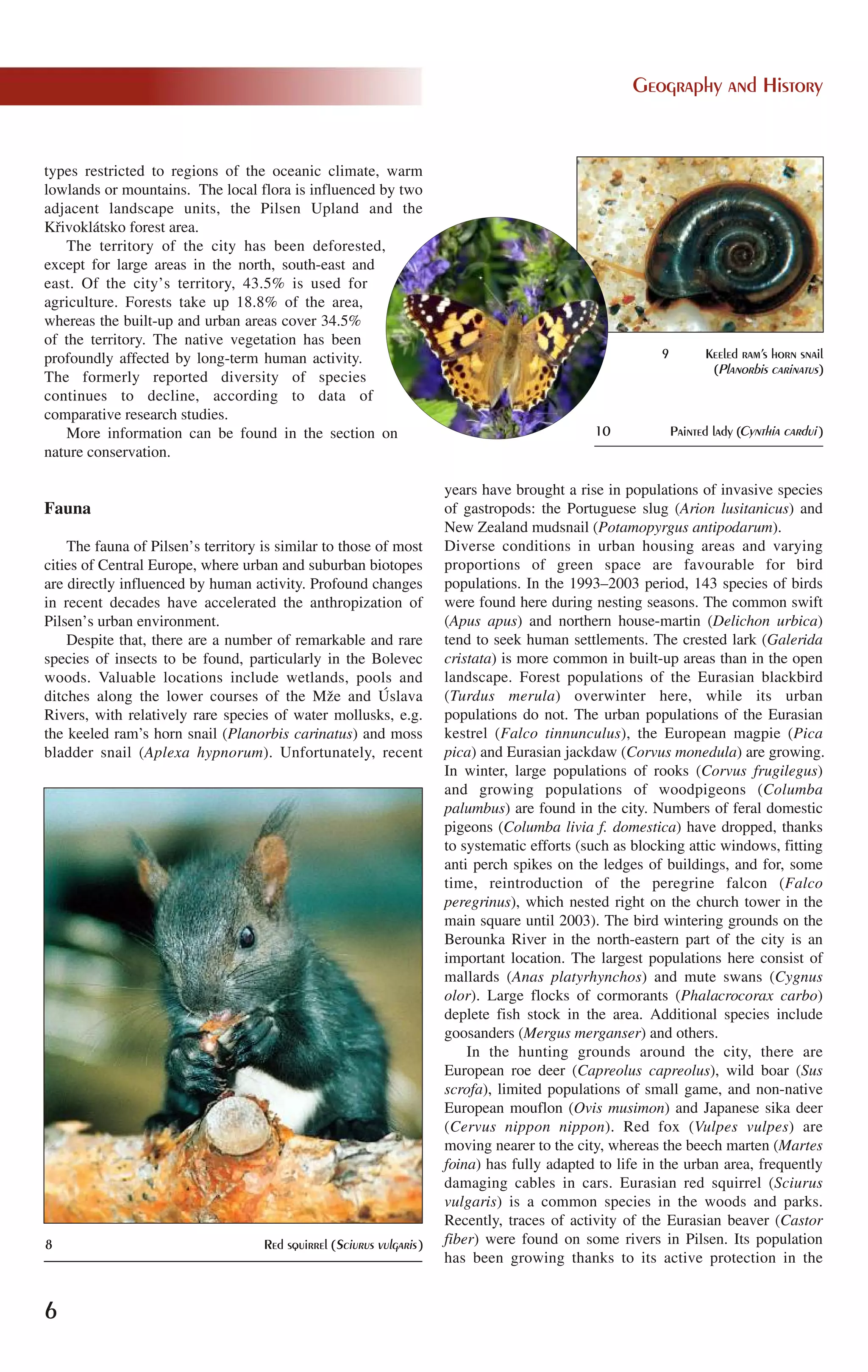 The Environment of the City of Pilsen | PDF