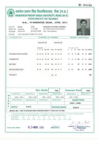BSC 6TH SEM MARKSHEET | PDF