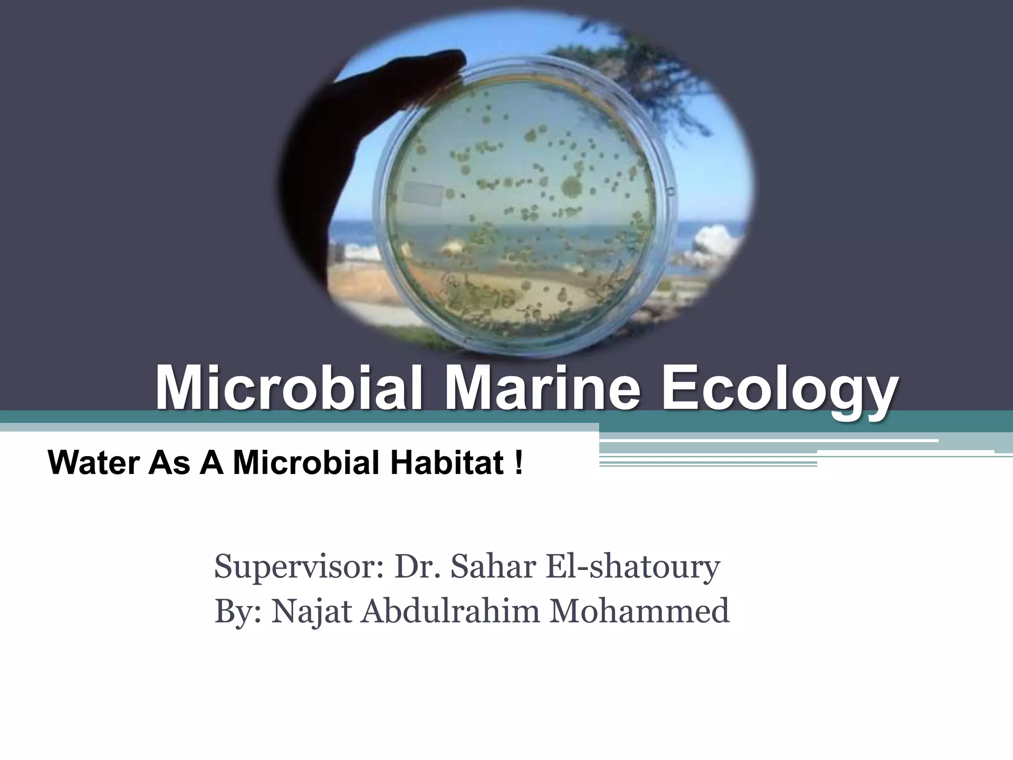 Microbial Marine Ecology | PPTX