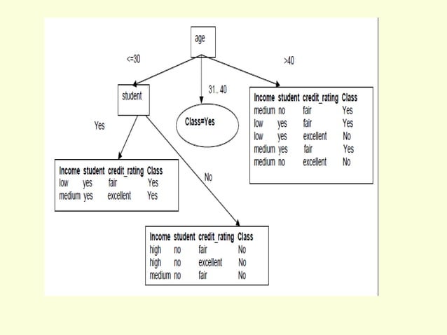 7 decision tree | PPT
