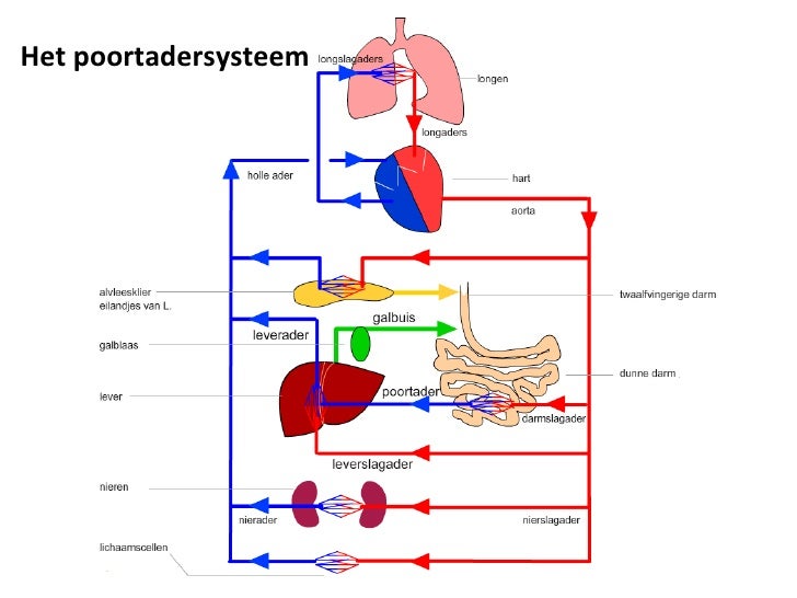 7 Def Onderzoek Naar Geneesmiddelen