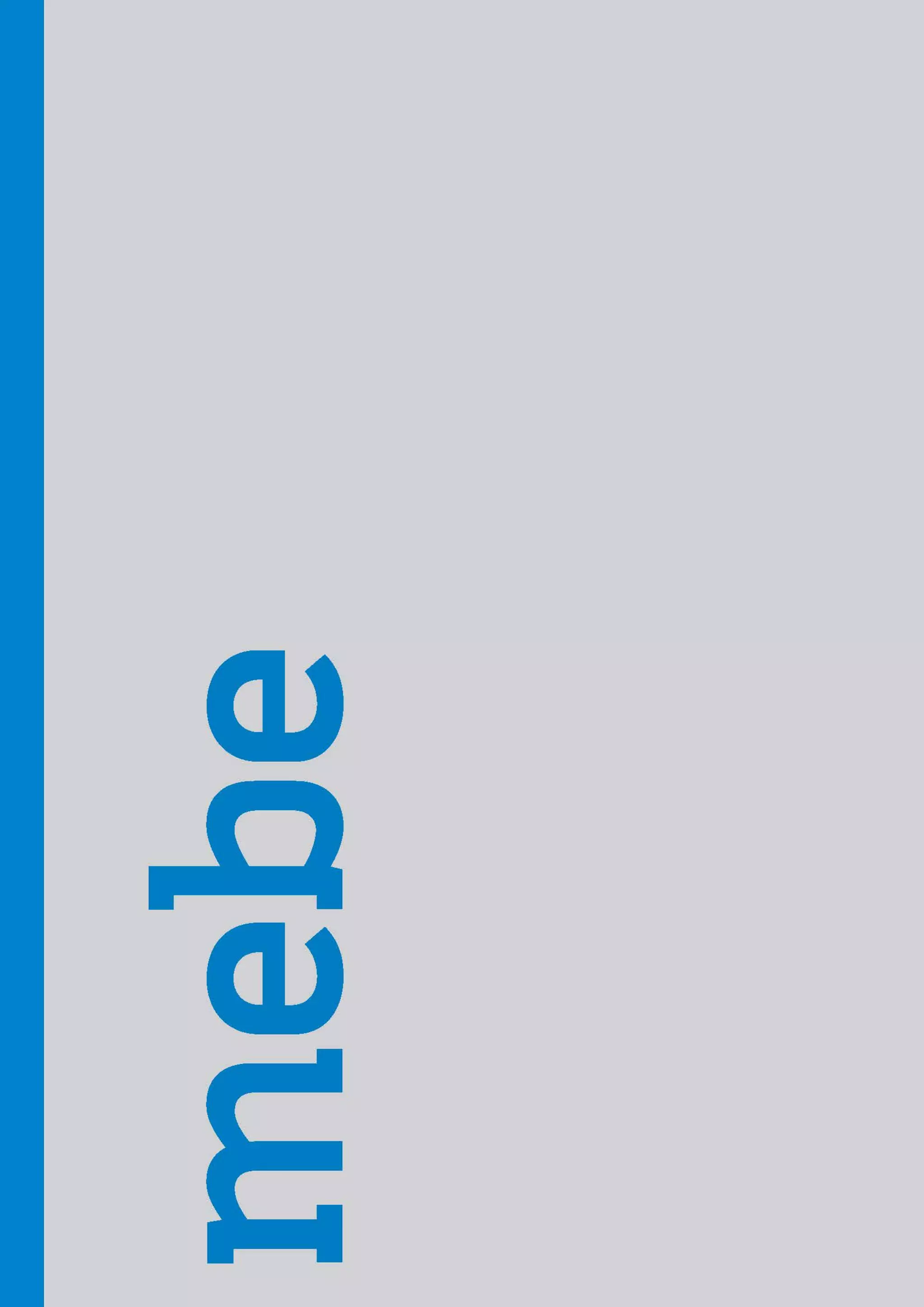 Mebe-Group-brochure | PDF