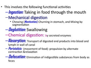 Anatomy of the Digestive System.....pptx
