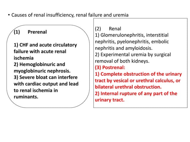 7 diseases of urinary system part a | PPT