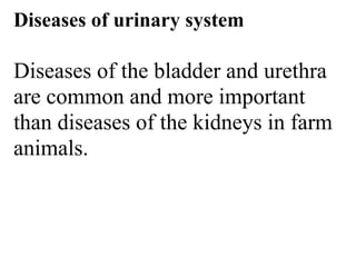 7 diseases of urinary system part a | PPT