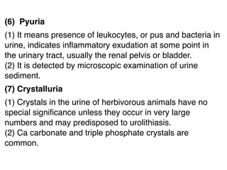 7 diseases of urinary system part b | PPT