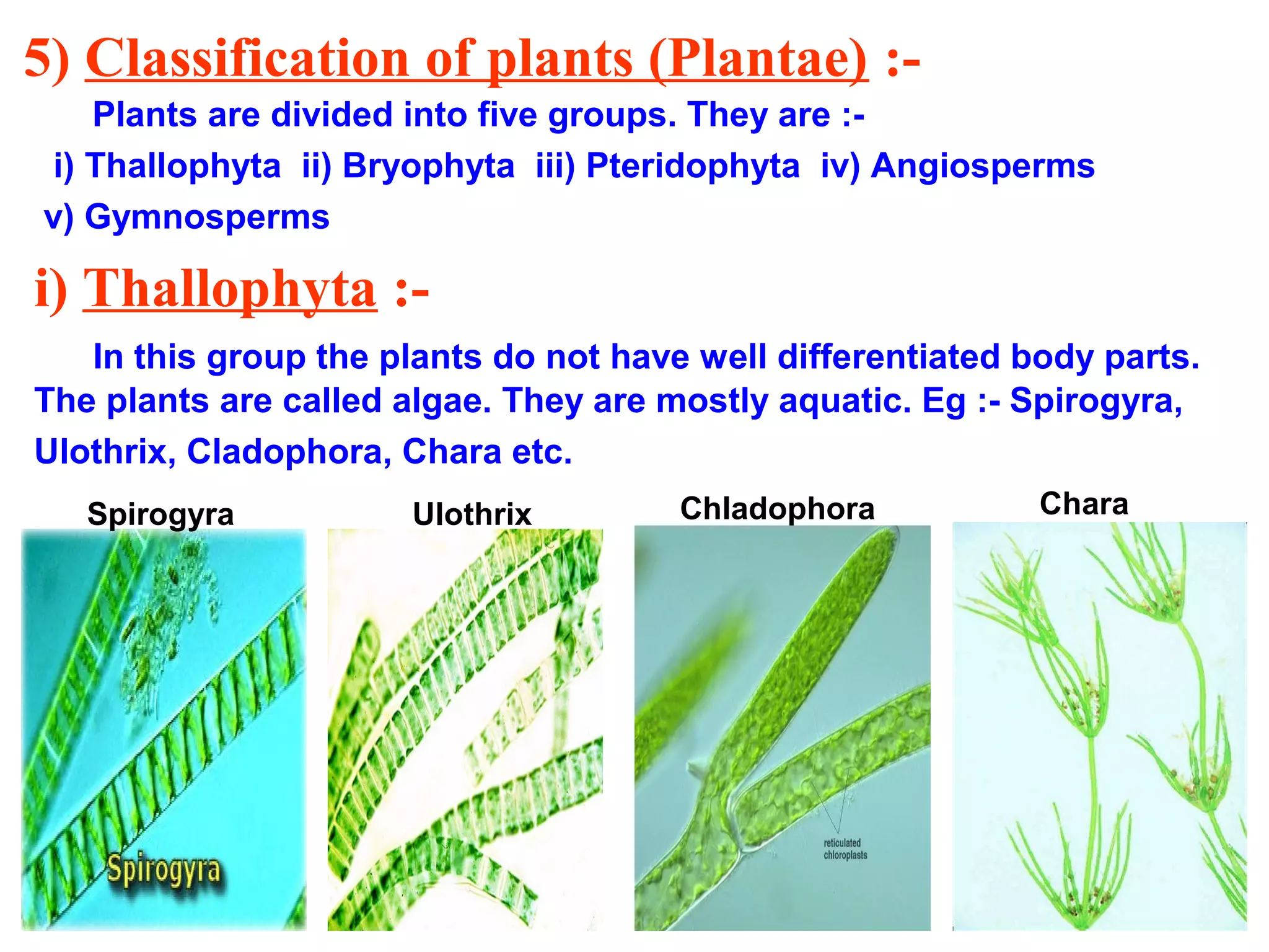 diversity in living organisms | PPT