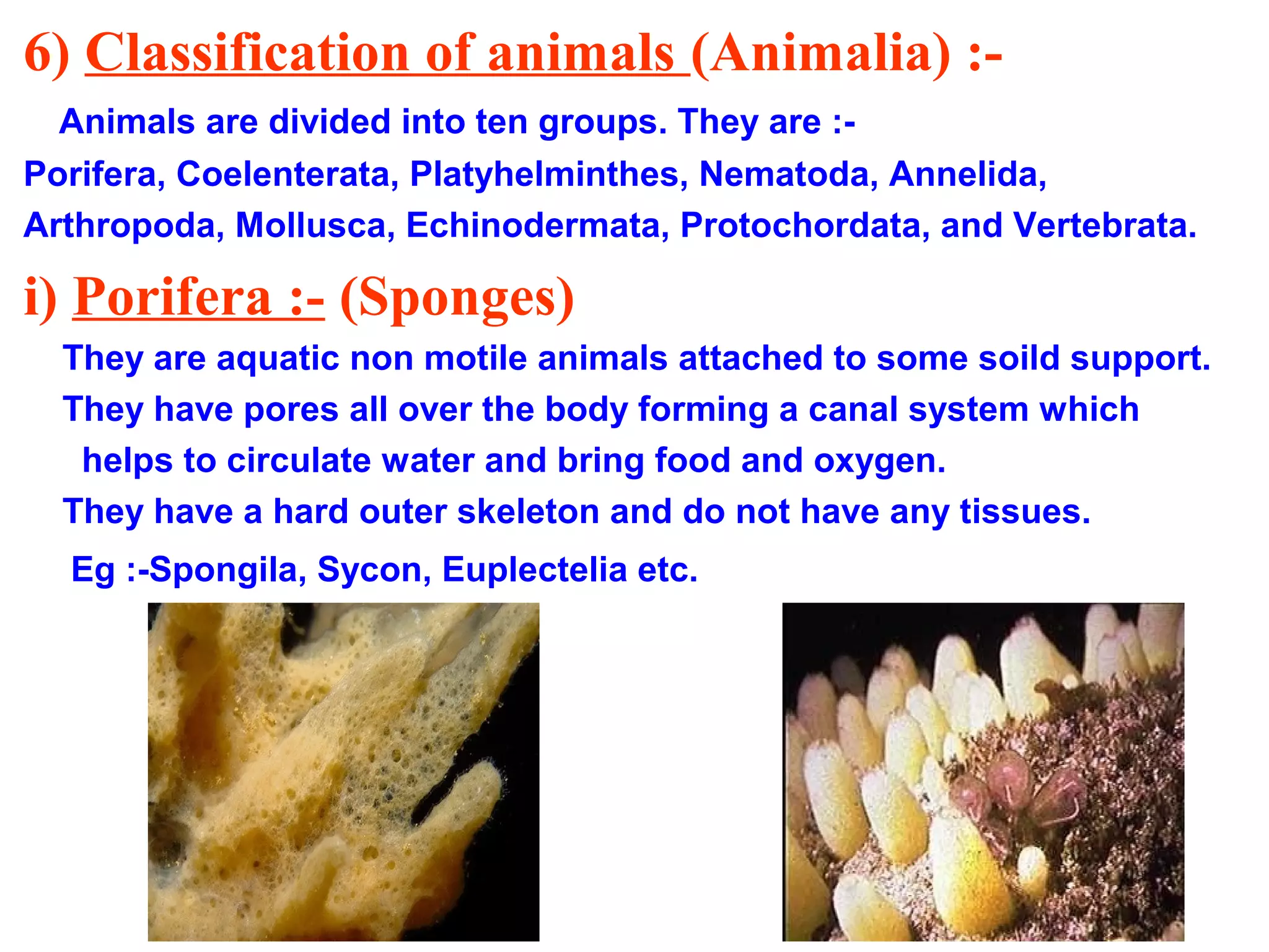 diversity in living organisms | PPT