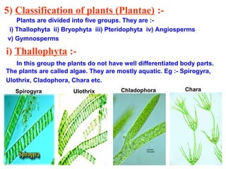 diversity in living organisms | PPT
