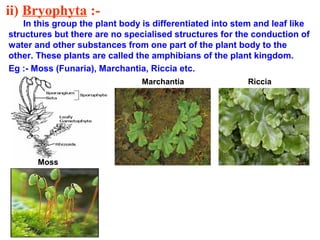 diversity in living organisms | PPT