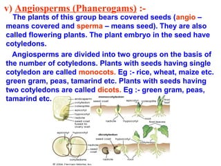 7diversityinlivingorganisms.pdf