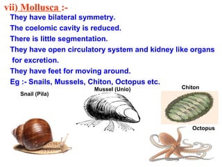7diversityinlivingorganisms.pdf