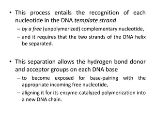 9 DNA replication, repair , recombination | PPTX