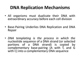 9 DNA replication, repair , recombination | PPTX