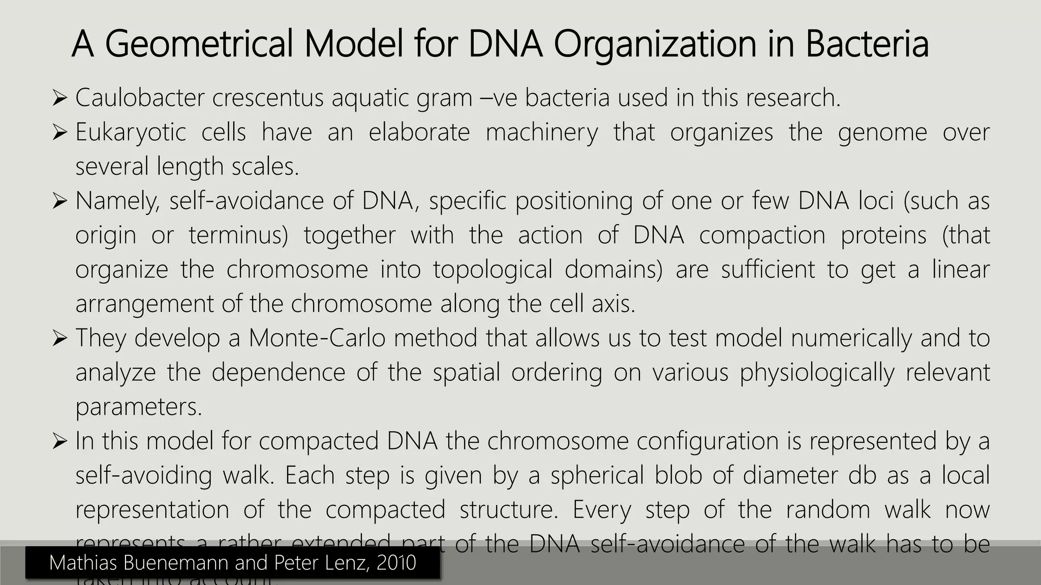 7_DNA organization in prokaryotes and eukaryotes.pptx | Biological ...